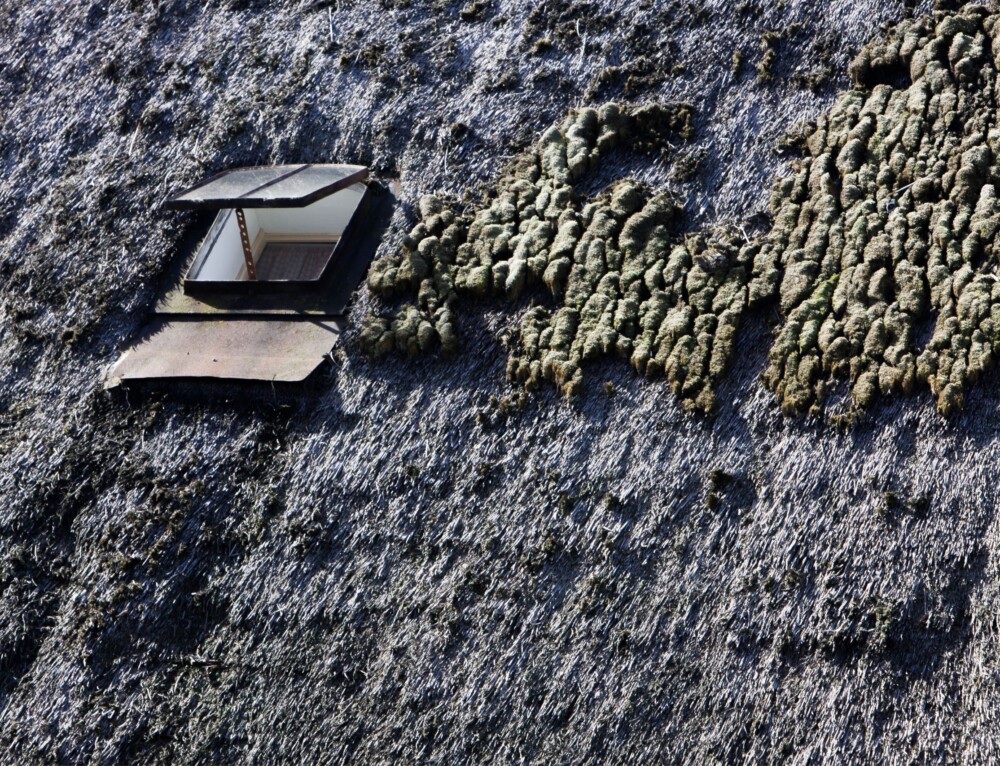 Replicate Pili Grass And Alang-Alang Thatching With Our Kona Roofs ...